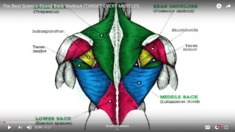Youtube: The Best Science-Based Back Workout | Étude Life